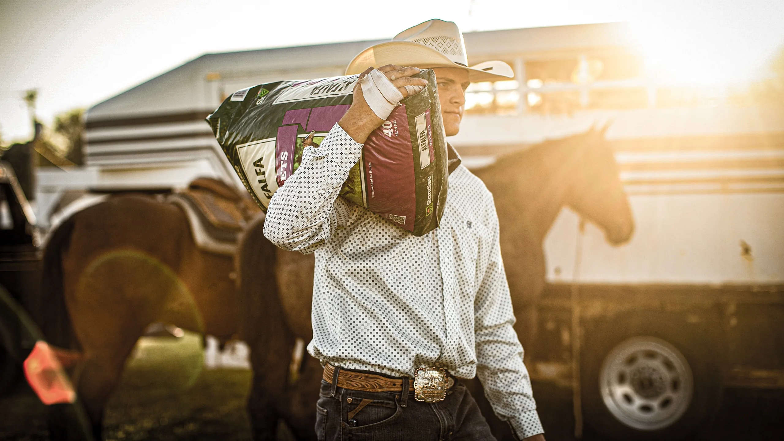 Redefining the Standlee Brand - STEWART