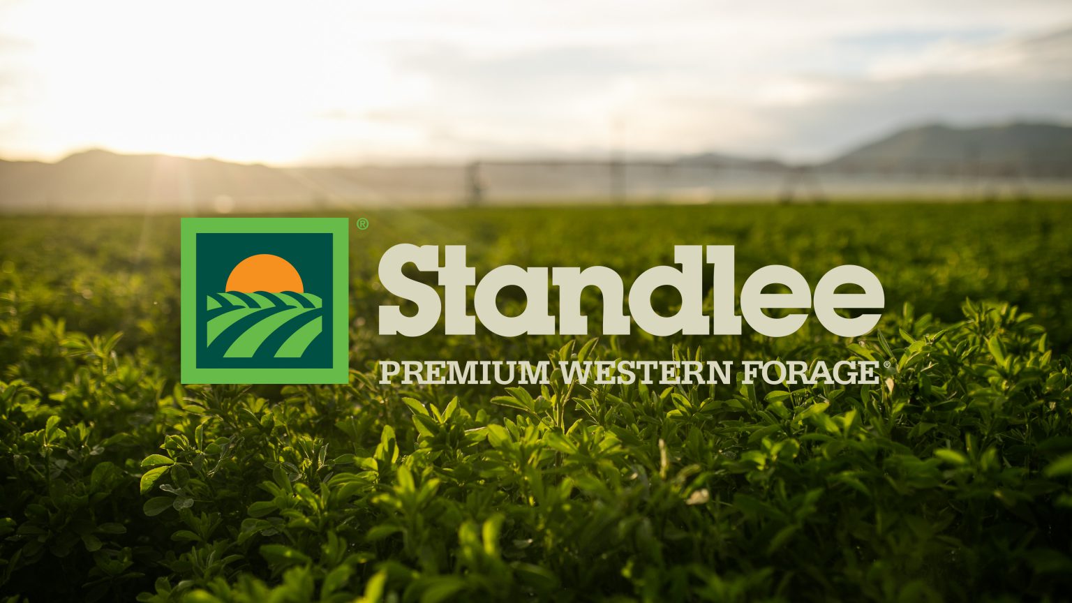 Redefining the Standlee Brand - STEWART