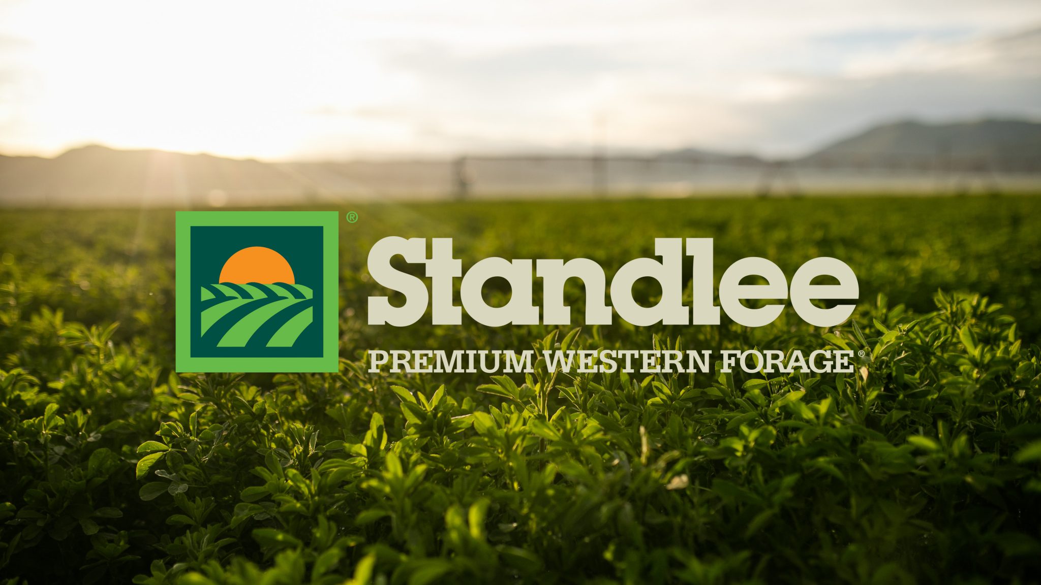 Redefining the Standlee Brand - STEWART